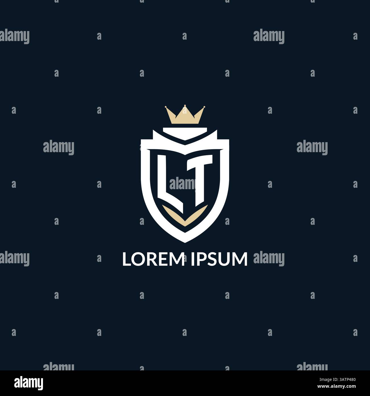 Initial letter LT shield and crown logo style, esport team logo design ...