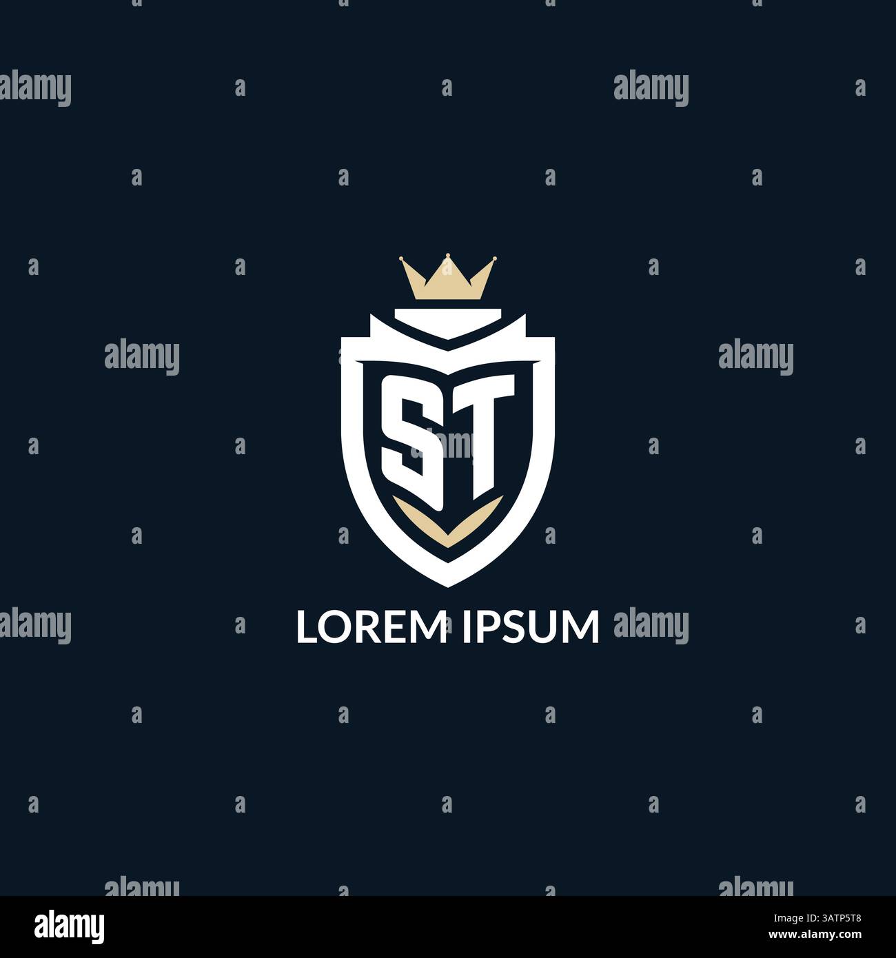 Initial letter ST shield and crown logo style, esport team logo design ...