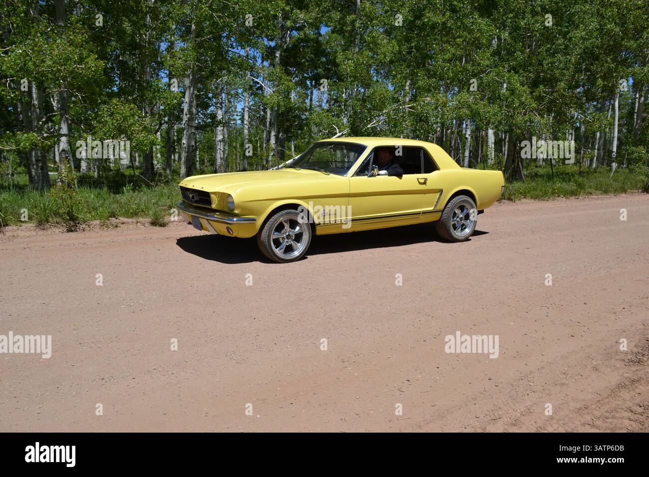 1964 Yellow Mustang Stock Photo - Alamy
