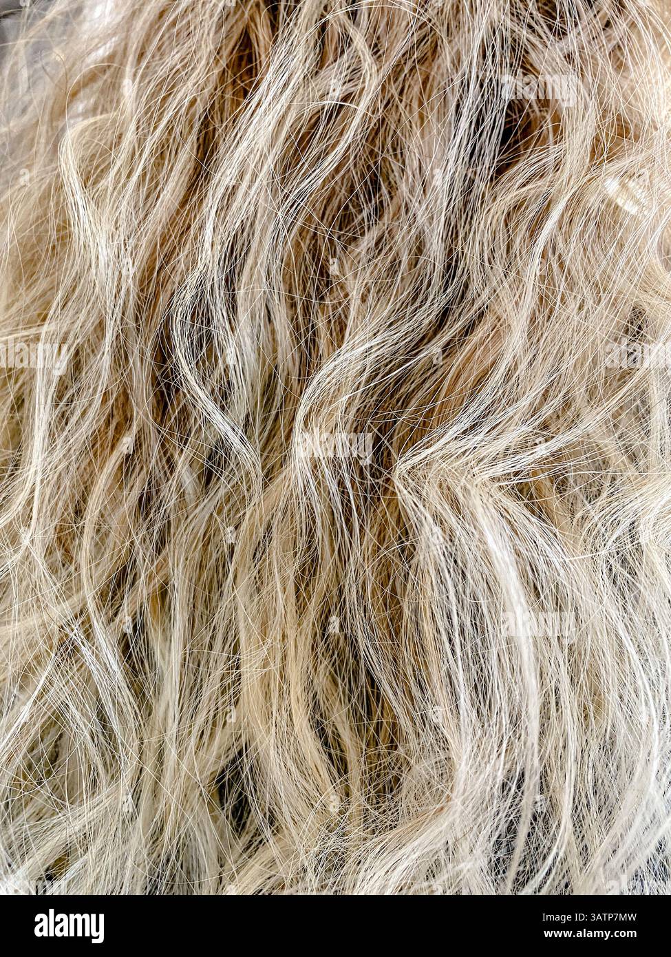 Close up of natural blonde wavy hair texture, abstract background with ...