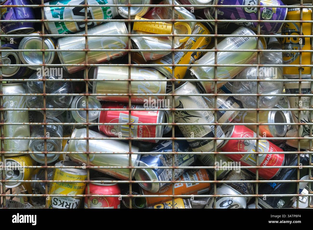 Aluminium cans collected for recycling Stock Photo - Alamy