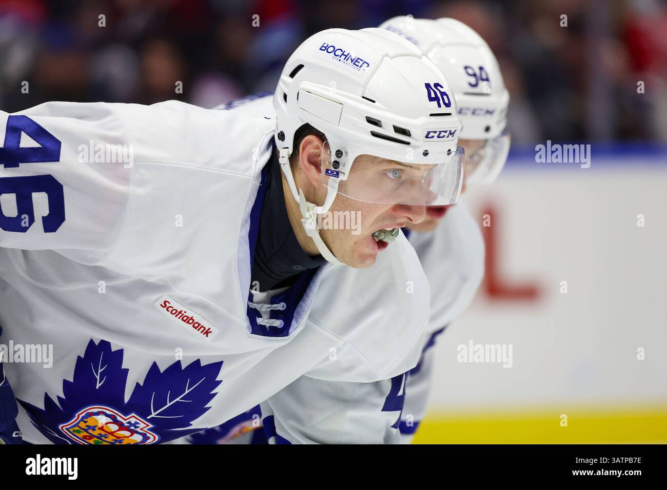 April 18th 2025: Toronto Marlies forward Alex Steeves (46) skates in ...
