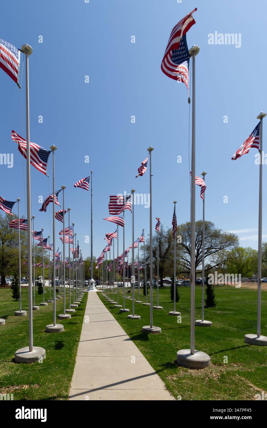 A scenic pathway lined with numerous American flags on both sides, each ...