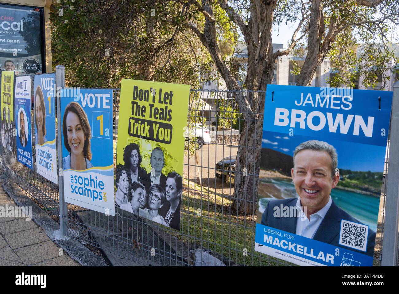 Australian Federal election 2025, seat of Mackellar, political ...