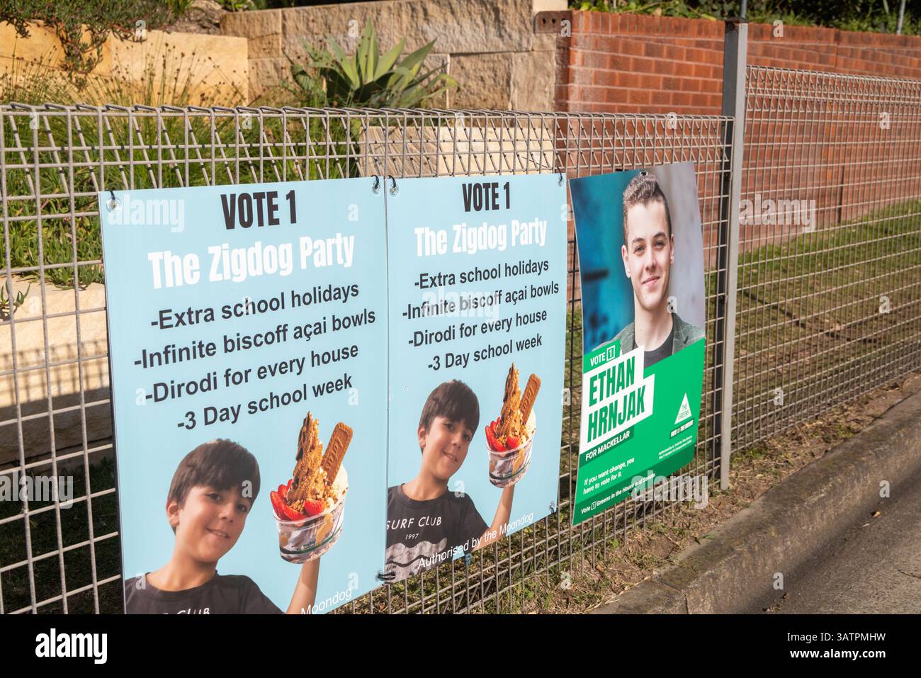 Australian Federal election 2025, corflutes in the Sydney electorate of ...