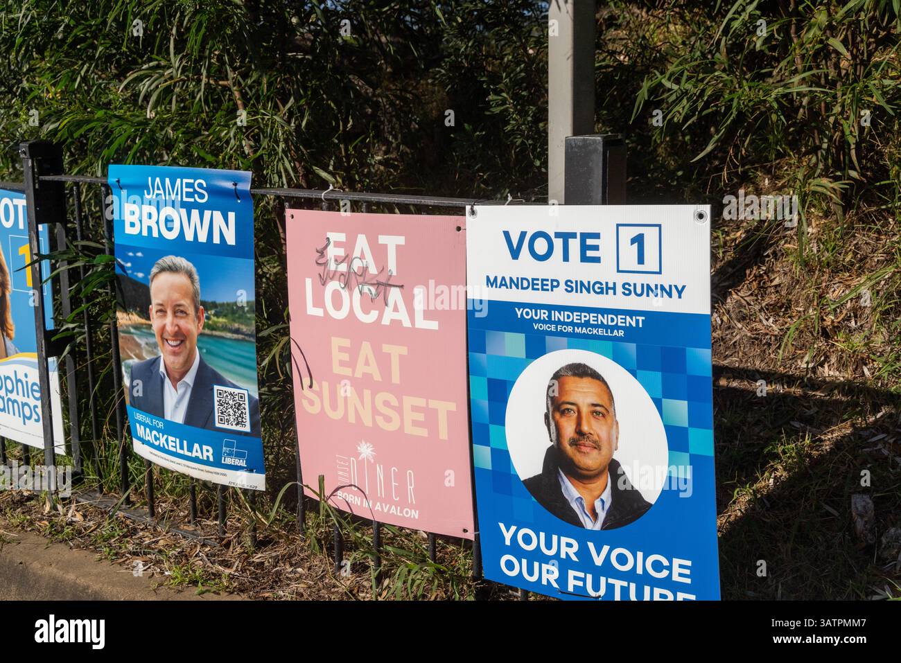 Australian Federal election 2025, candidates corflutes in the Sydney ...