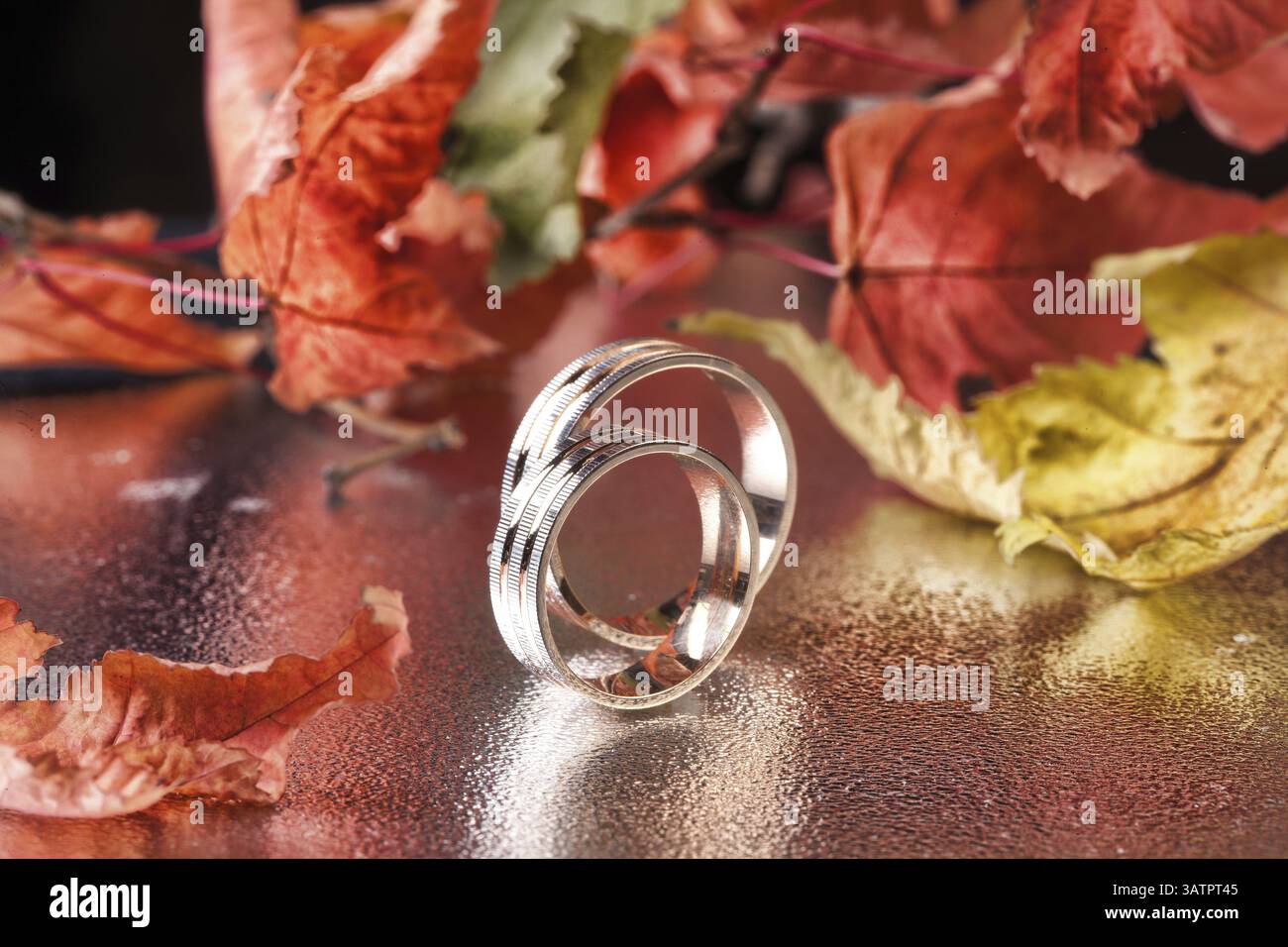 Engagement rings and autumn leaves on a glass background Stock Photo - Alamy