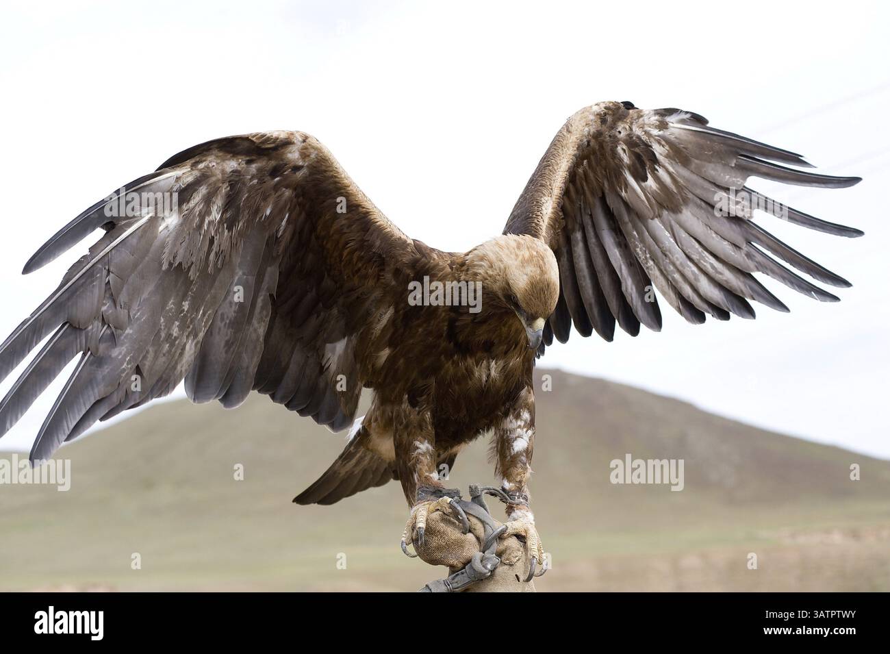 Hand spread hi-res stock photography and images - Alamy