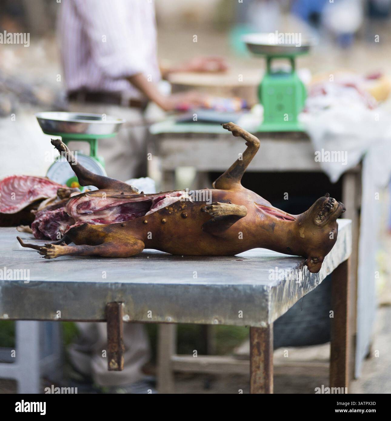 Dog meat sale in hi-res stock photography and images - Alamy