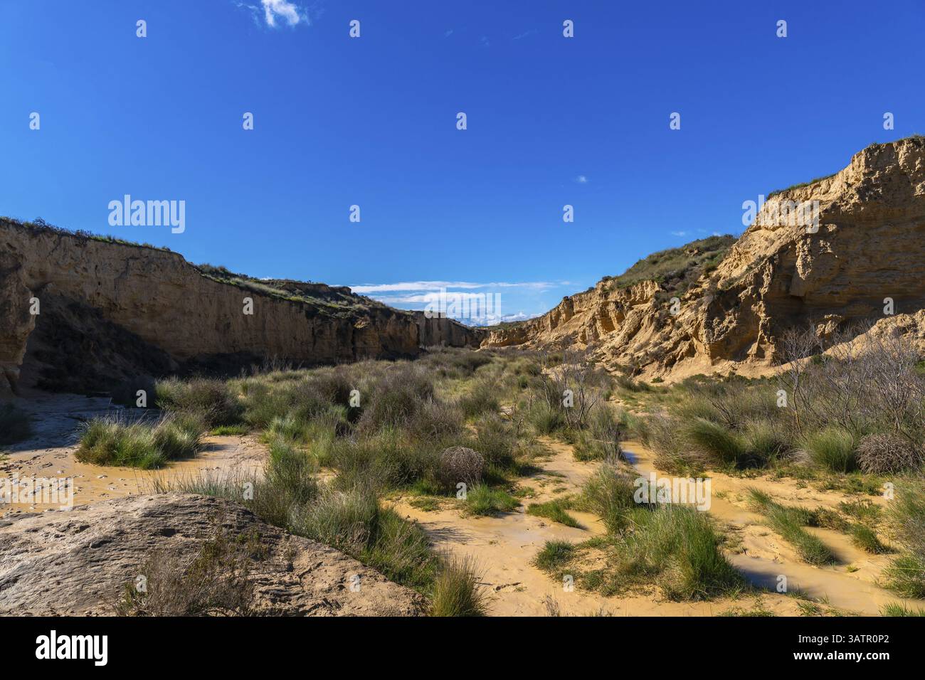 Sparse vegetation beneath hi-res stock photography and images - Alamy
