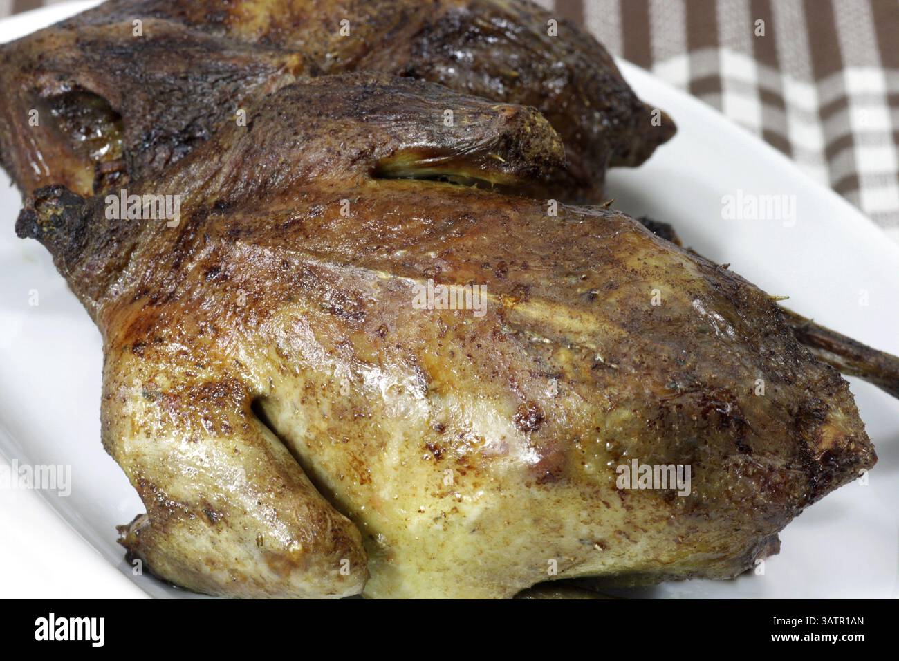 Crispy pigeon hi-res stock photography and images - Alamy
