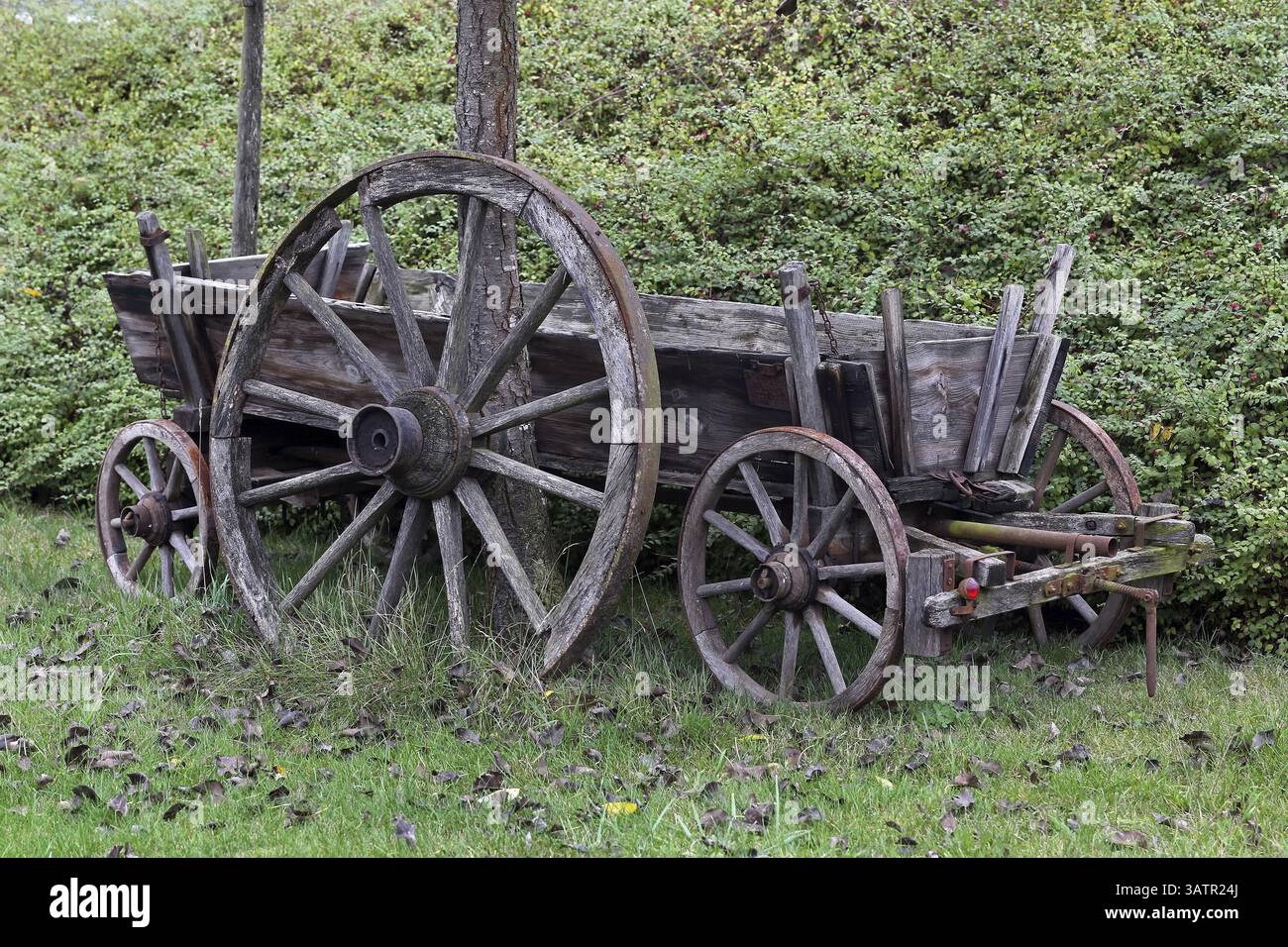 Horse drawn carts wagons hi-res stock photography and images - Alamy