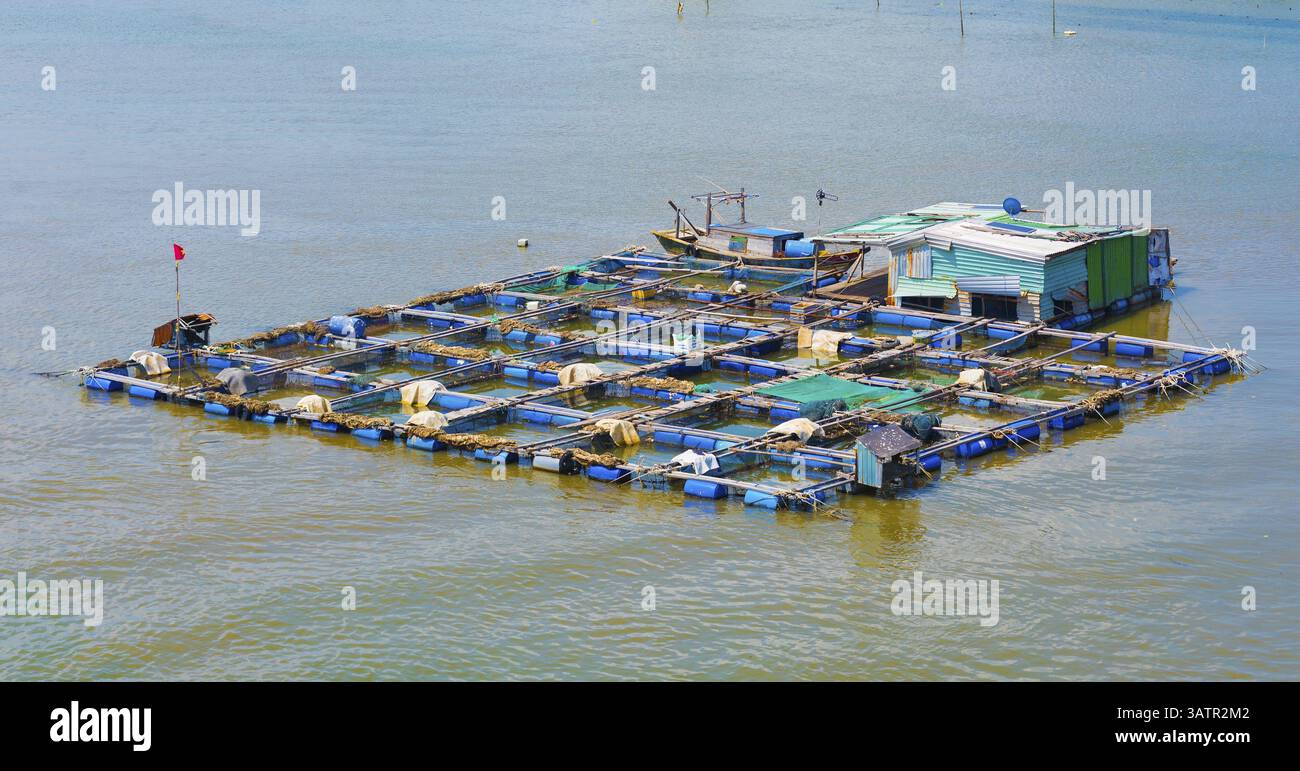 Fish breeding farms on a river in the southern Vietnam Stock Photo - Alamy