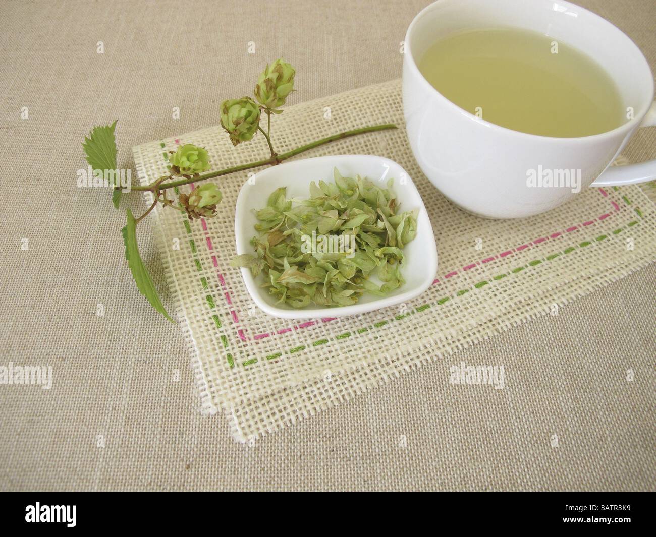 Dried hops humulus lupulus hi-res stock photography and images - Alamy