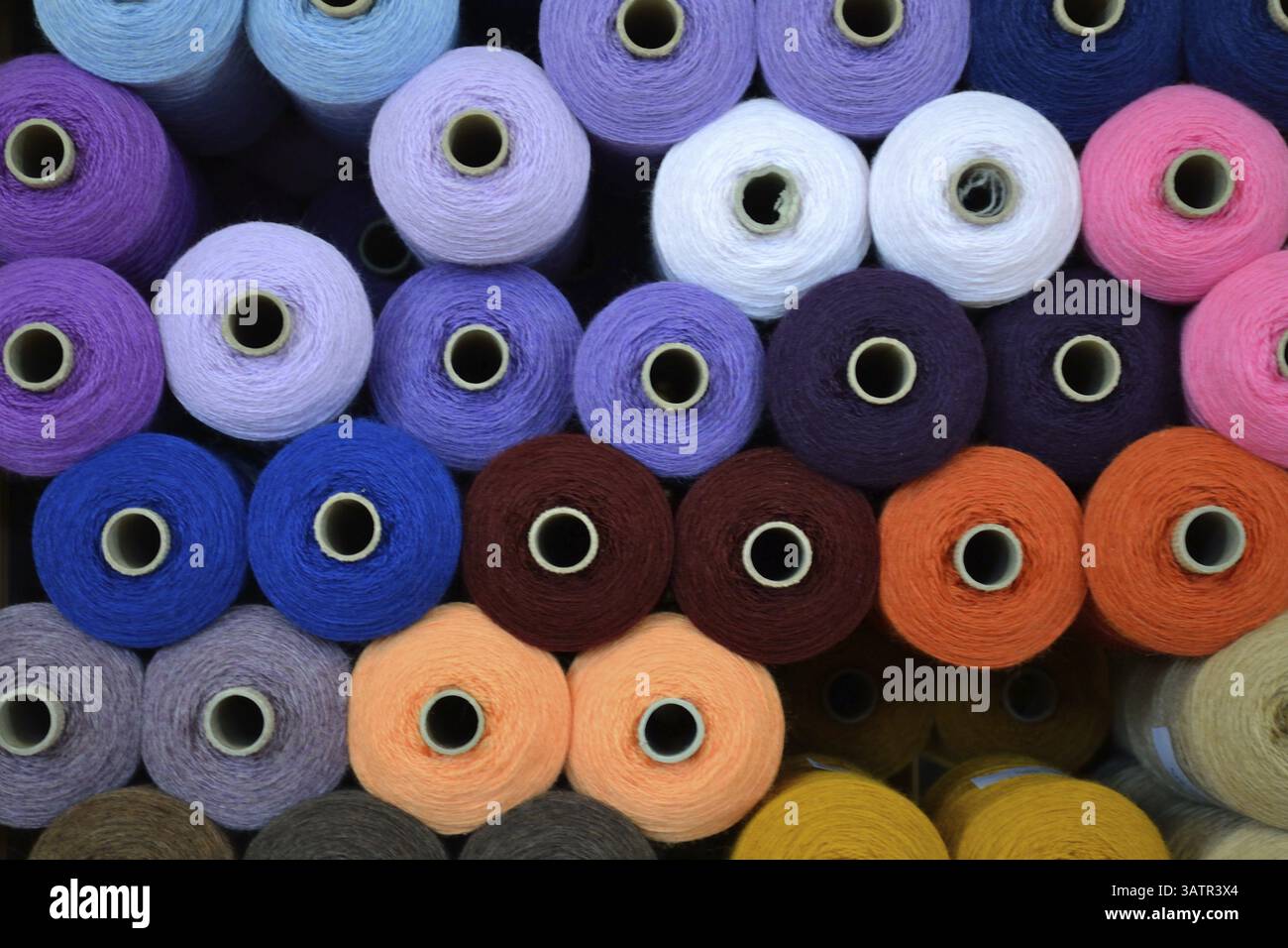 Different coloured merino wool Stock Photo - Alamy