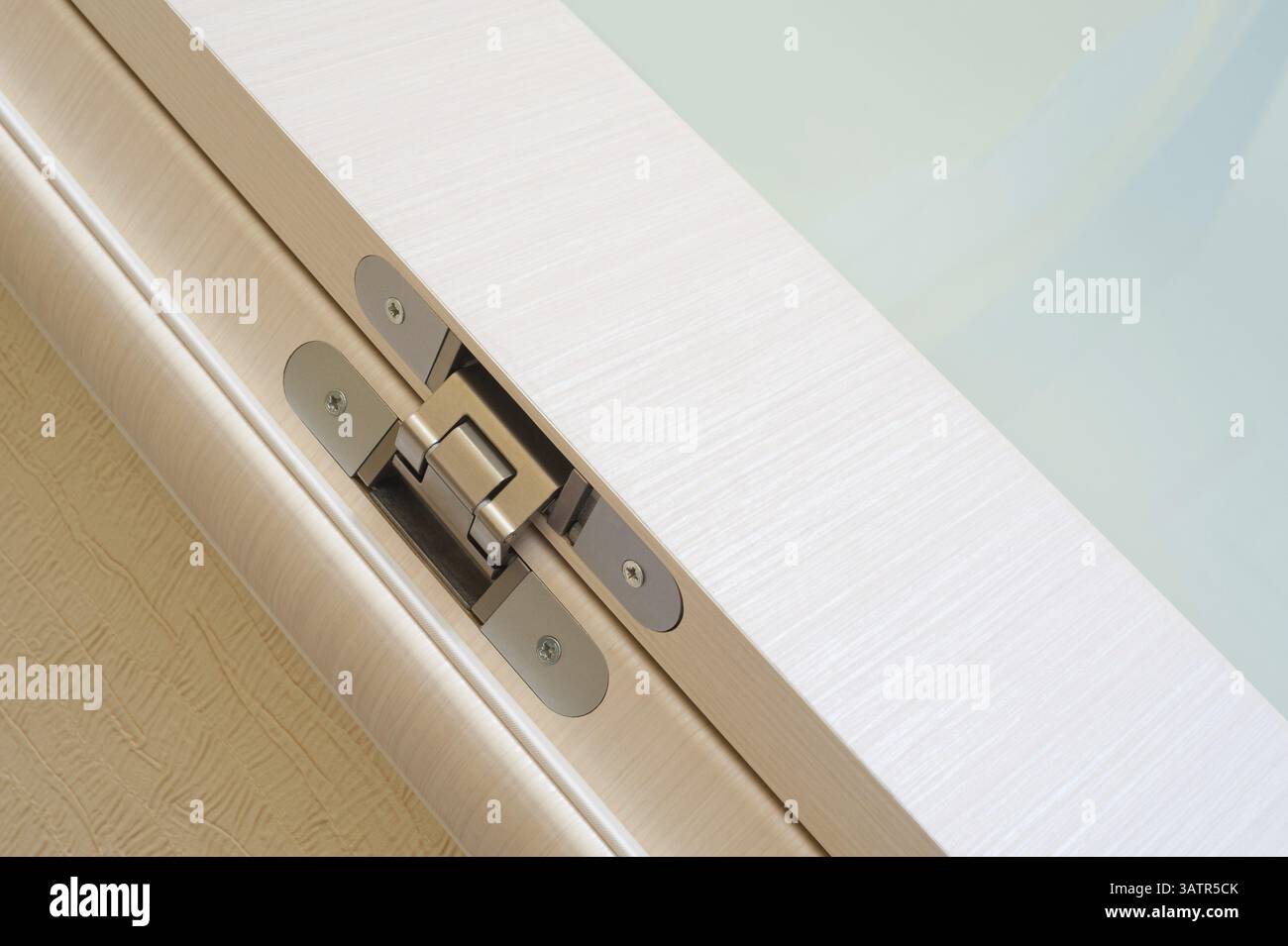 A modern door hinge, a closeup shot Stock Photo - Alamy