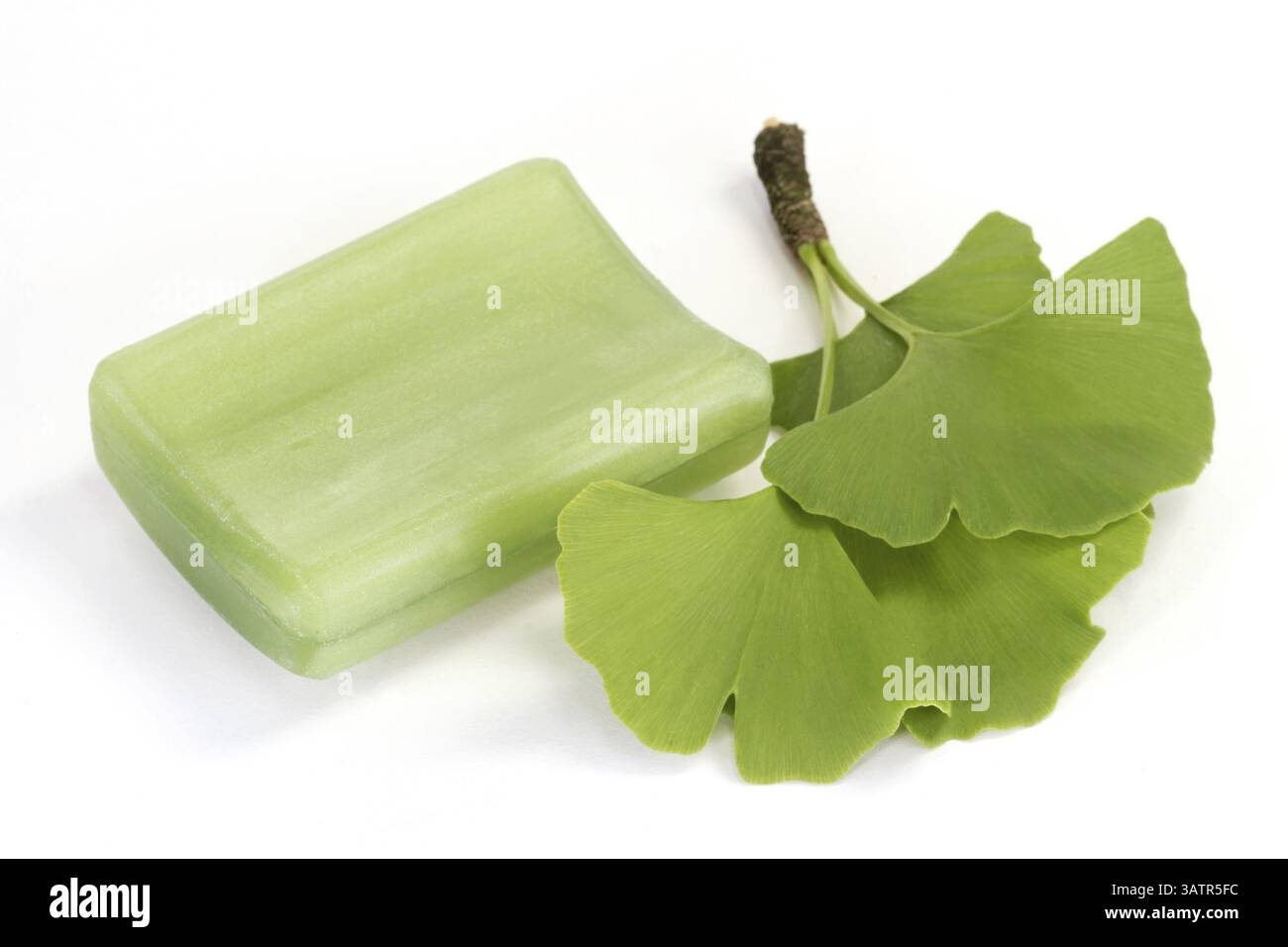 Green bar of soap and ginkgo leaves on a white background Stock Photo ...
