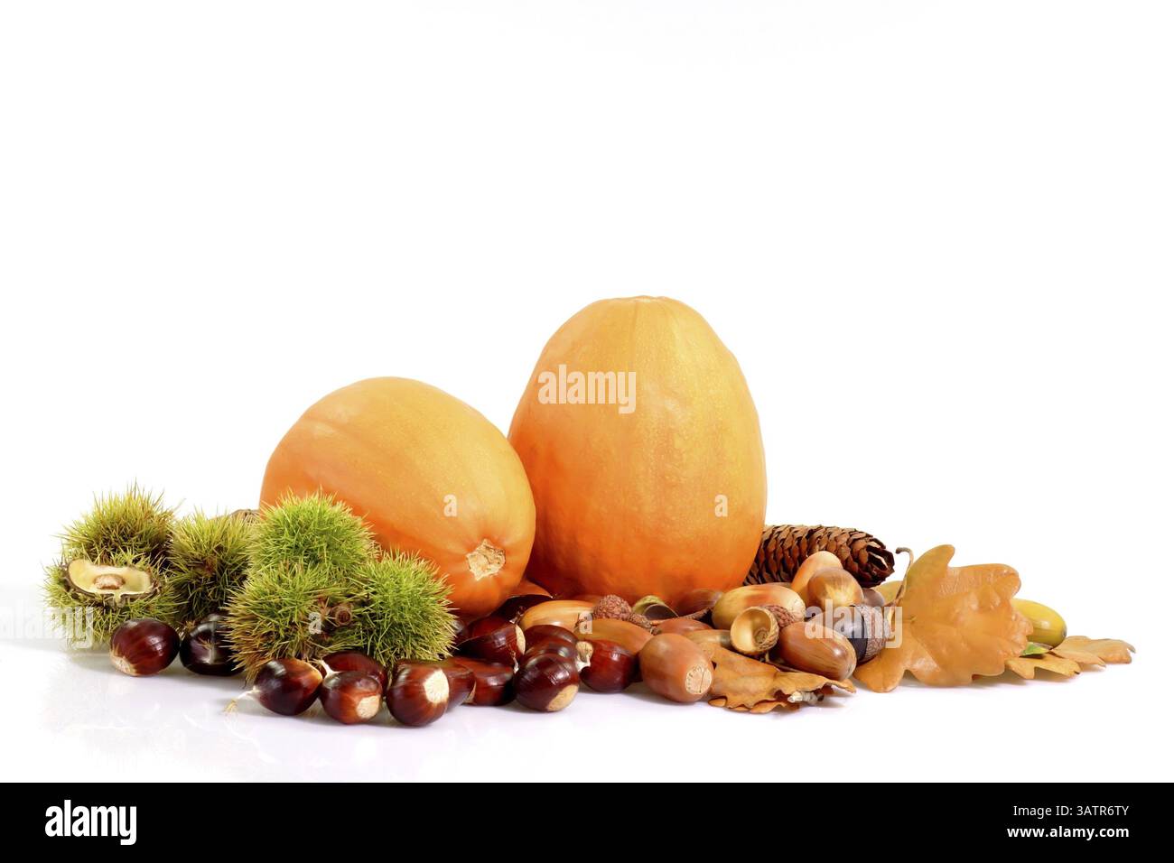 Recording garden Cut Out Stock Images & Pictures - Alamy