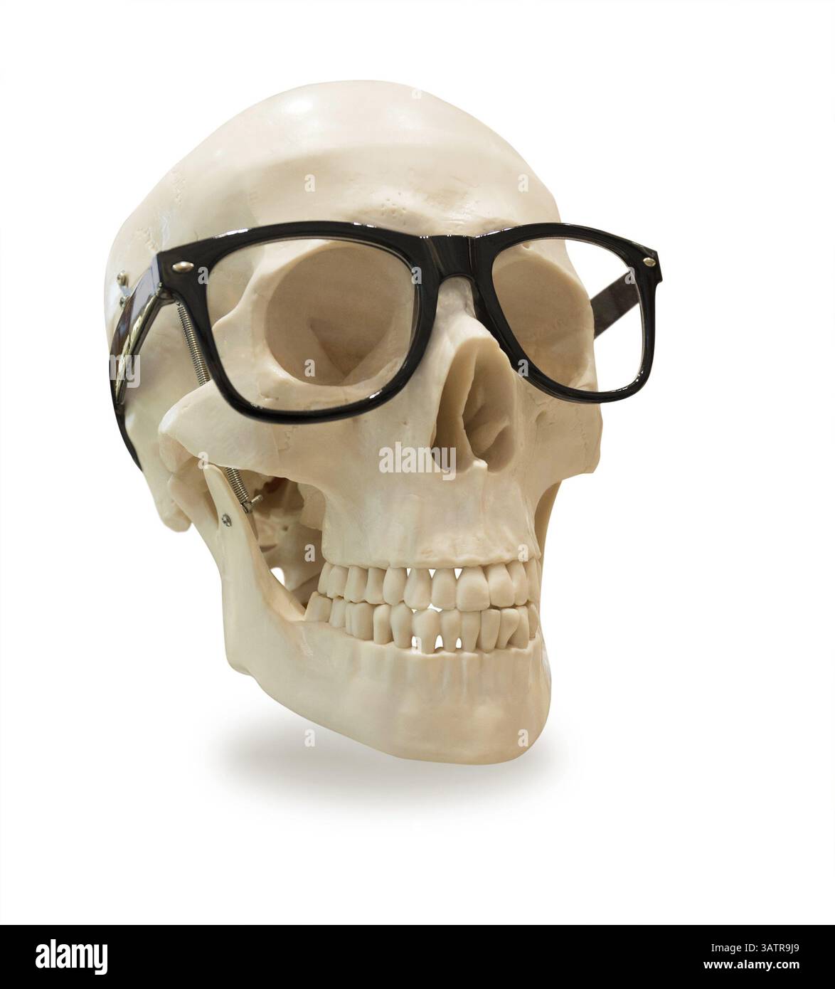 Human skull bones in black Cut Out Stock Images & Pictures - Alamy