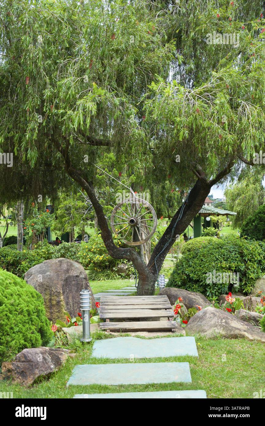Park tree with wagon wheel hanging on it Stock Photo - Alamy
