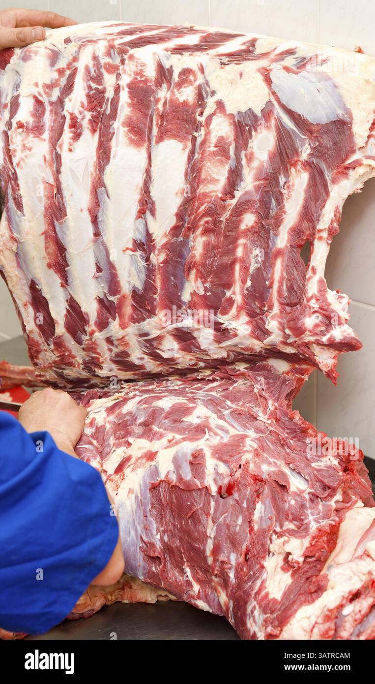 A butcher cuts a fresh beef carcass Stock Photo - Alamy