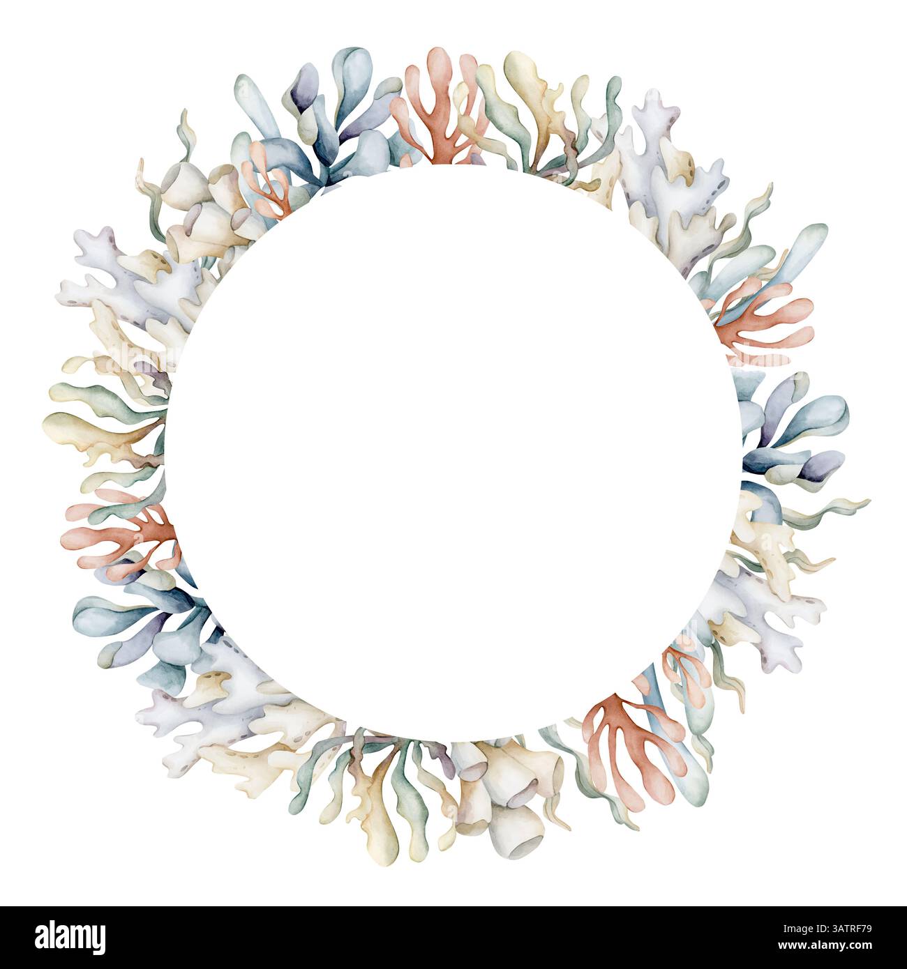Seaweeds Algae Sea Corals Wreath. Cute ocean marine underwater plants ...