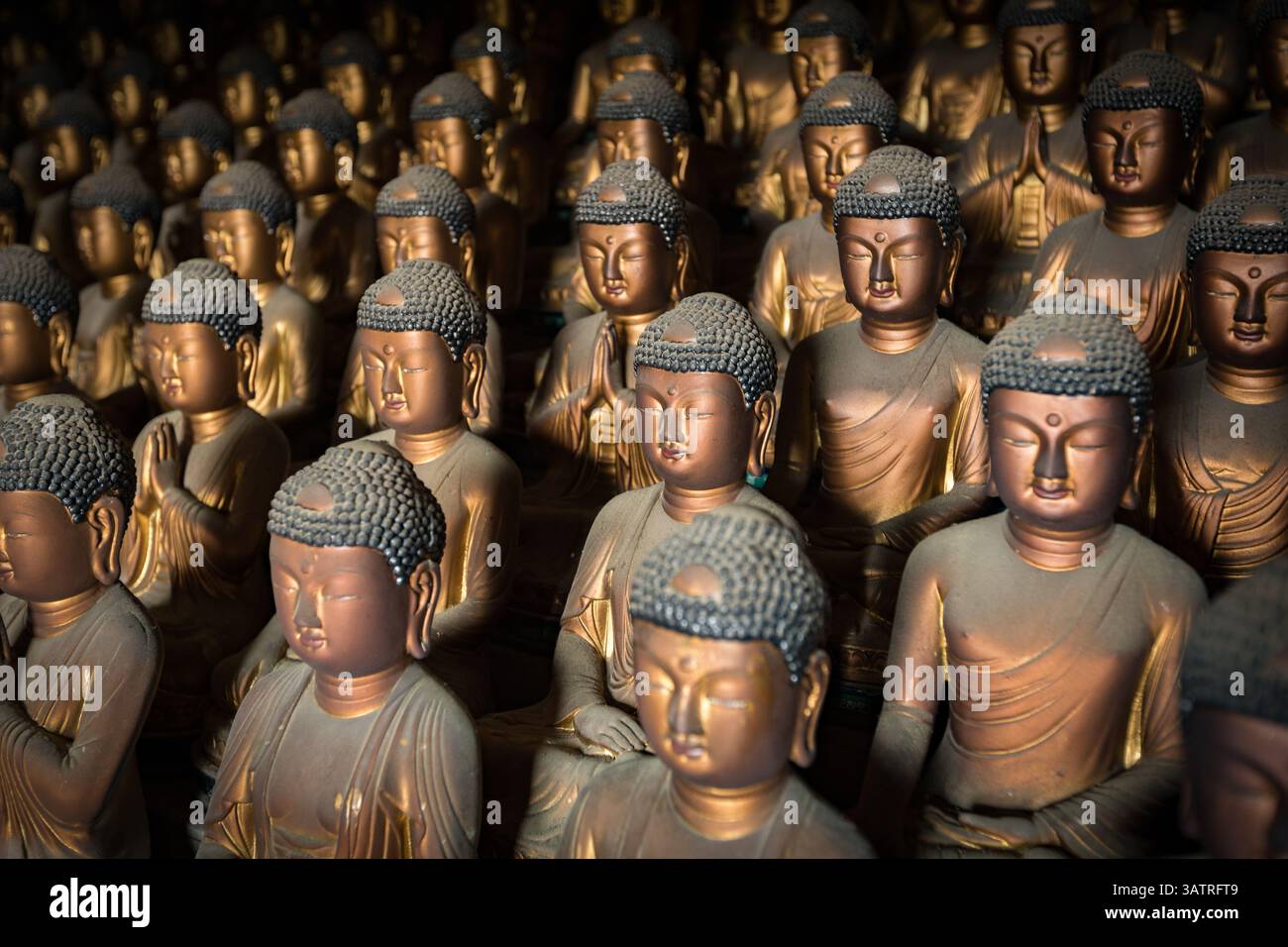 Multiple Buddha statues in Seokbulsa Mountain temple in Busan, South ...