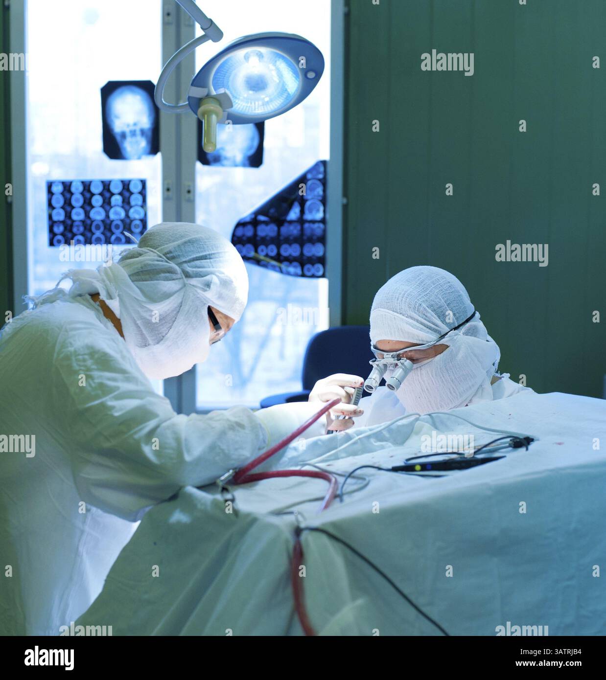 A real brain surgery, two surgeons at work Stock Photo - Alamy