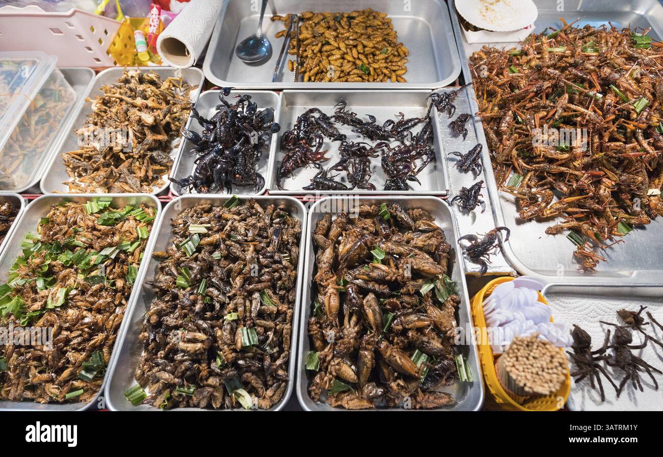 Exotic Thai food - fried and roasted insects including scorpions Stock ...