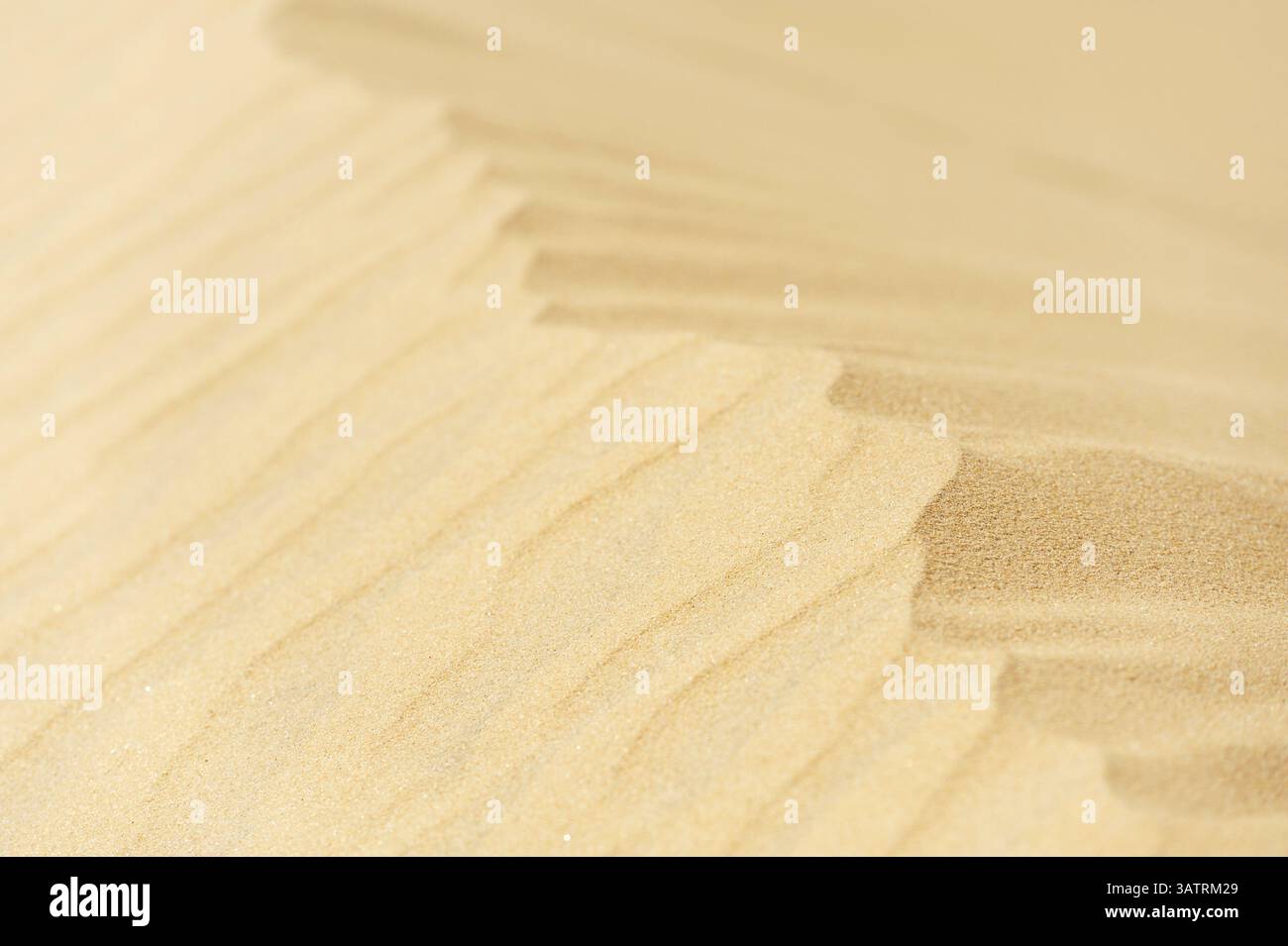 Crest of wavy sand dune, shallow dof Stock Photo - Alamy