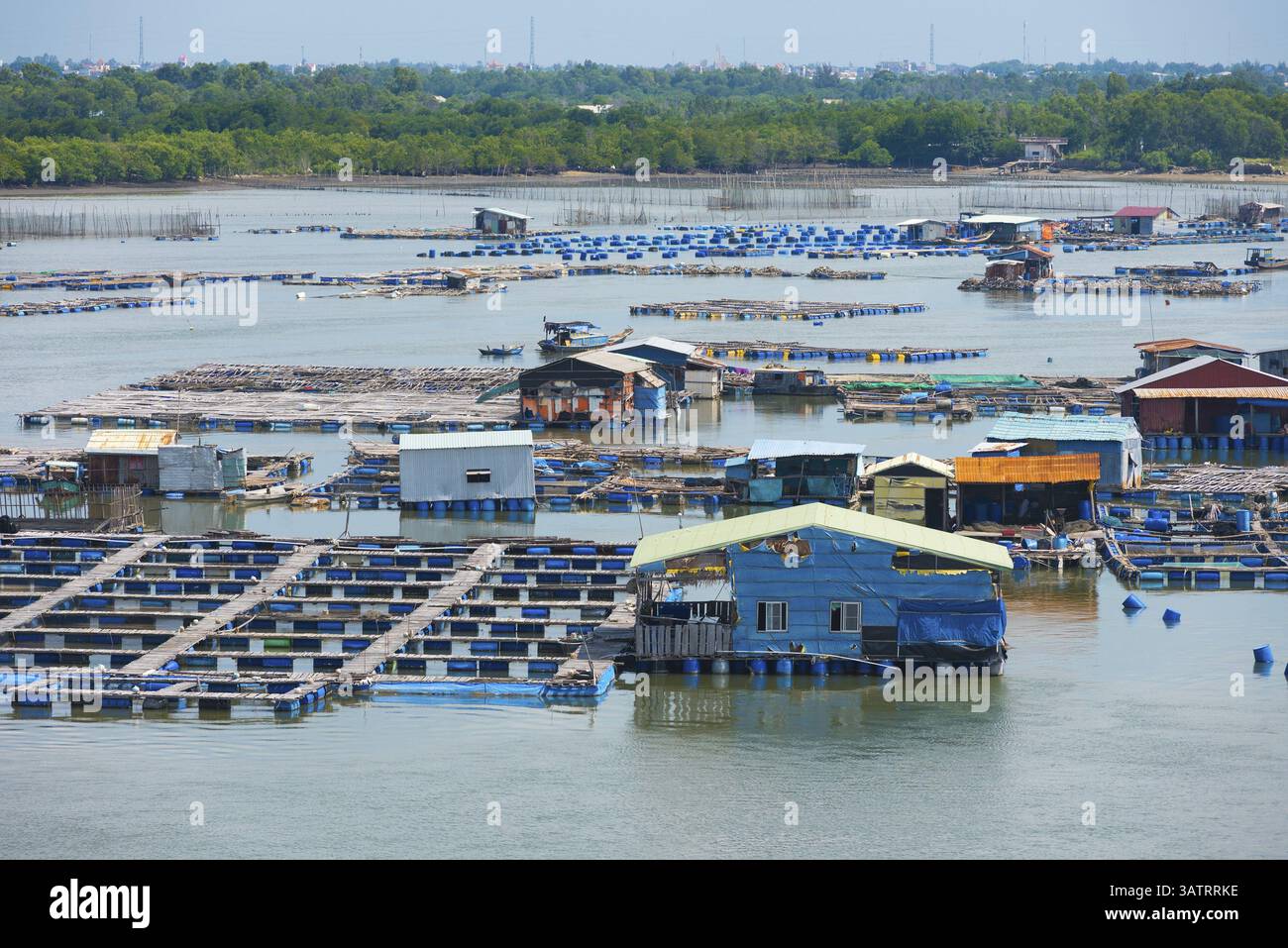 Fish breeding farms on a river in the southern Vietnam Stock Photo - Alamy