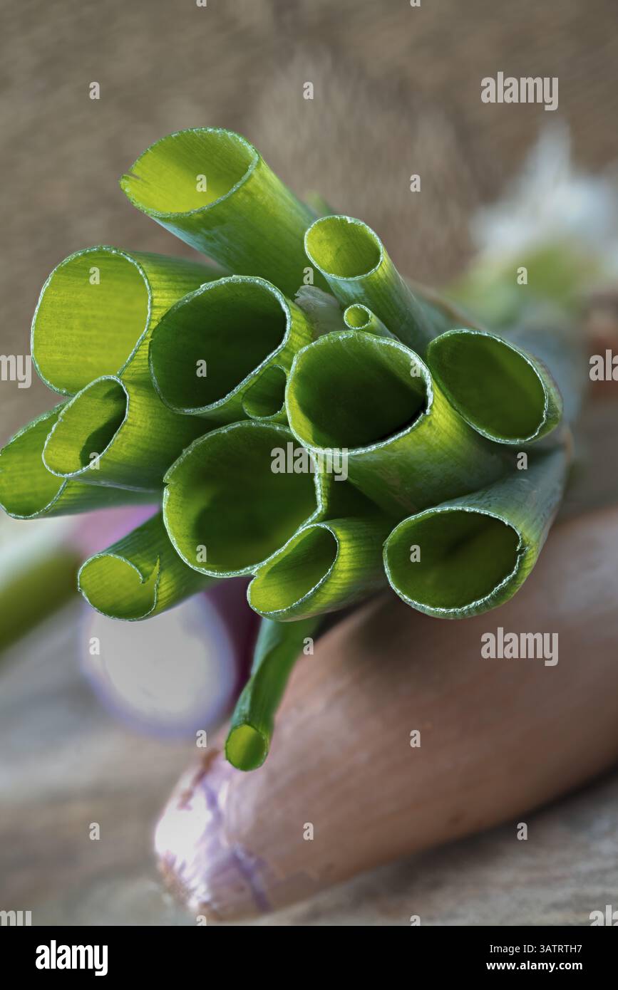 Eschallot hi-res stock photography and images - Alamy