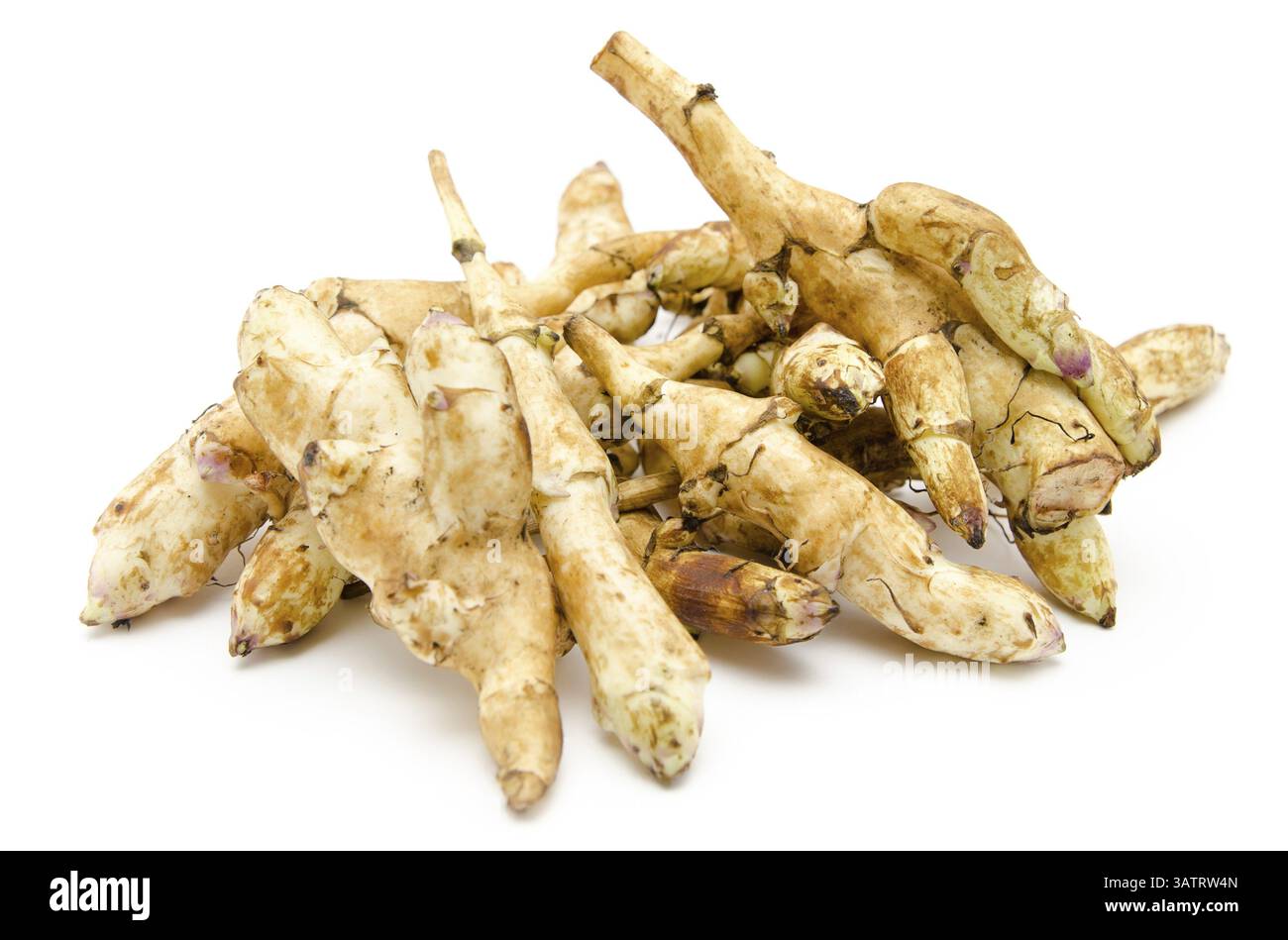Earth apples (Helianthus tuberosus), topinambour, over white Stock ...