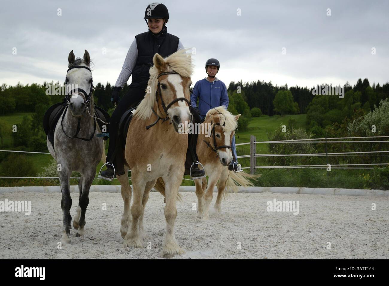 Two riders ride horses out Stock Photo - Alamy