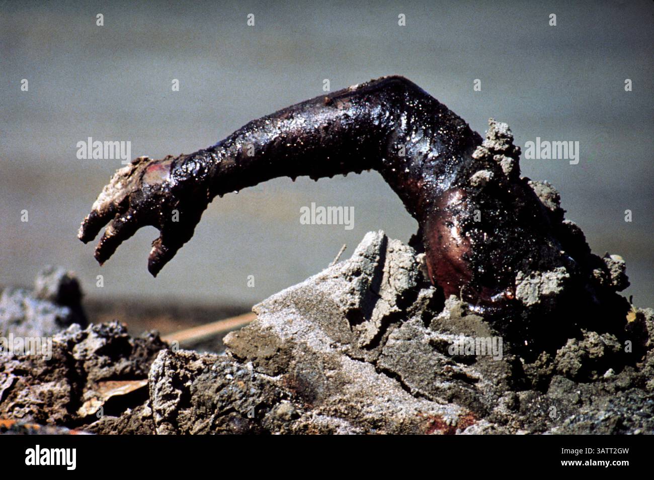 The 1986 Pulitzer Prize Winner in Spot News Photography, Carol Guzy and ...
