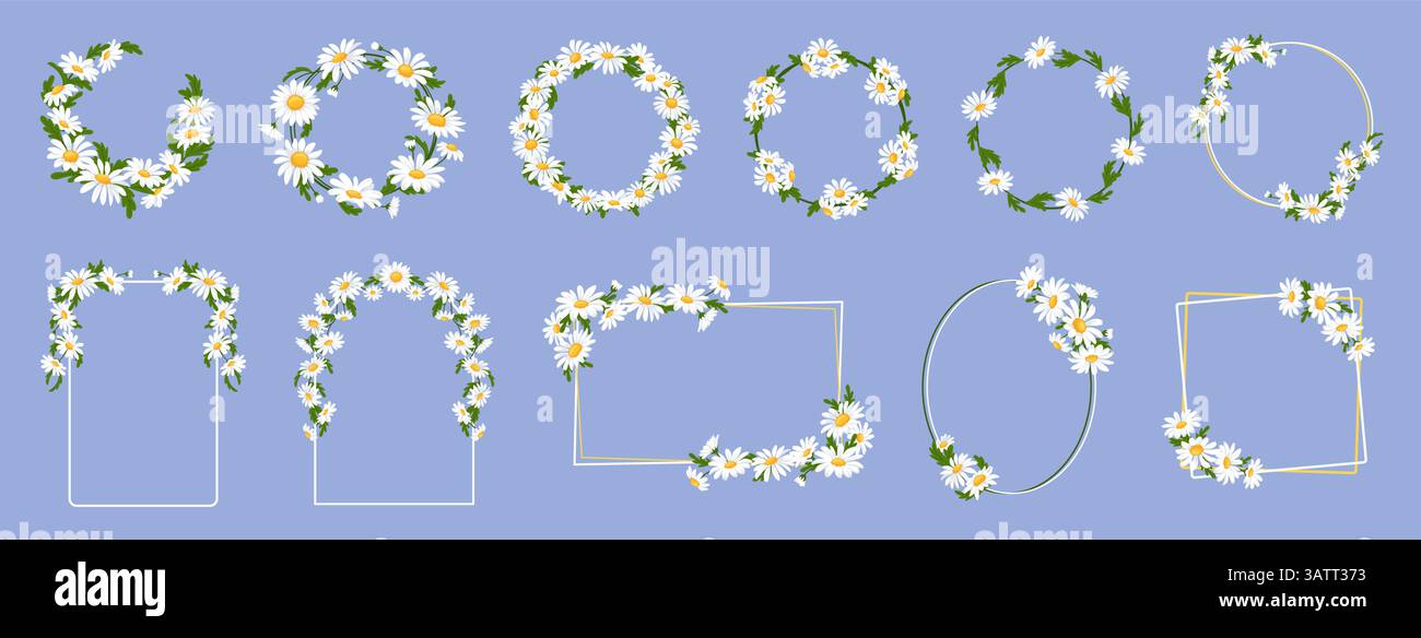 Daisy floral frames. Chamomile wreaths and borders with garden daisies ...