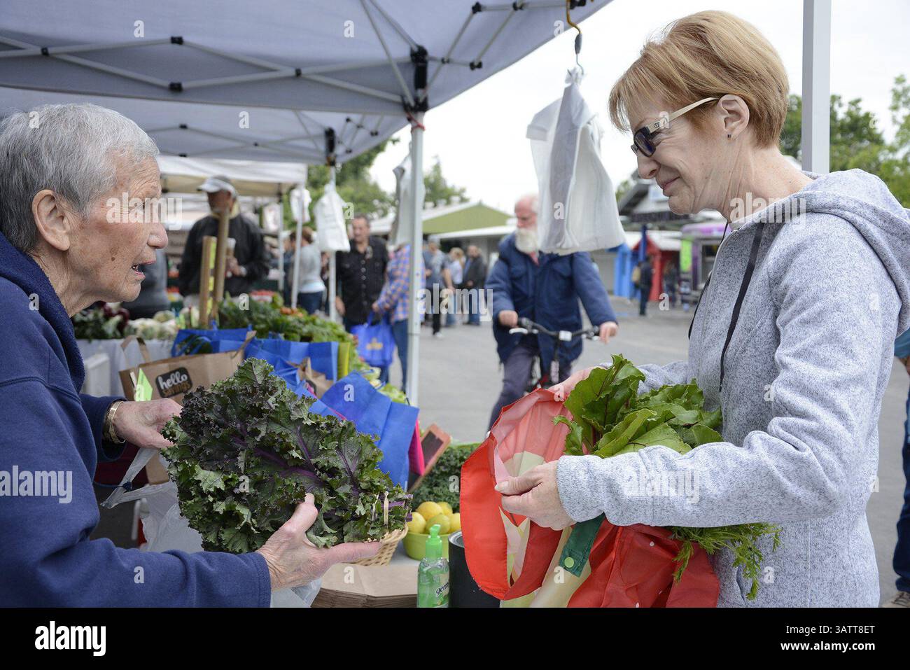 Marijke farm hi-res stock photography and images - Alamy
