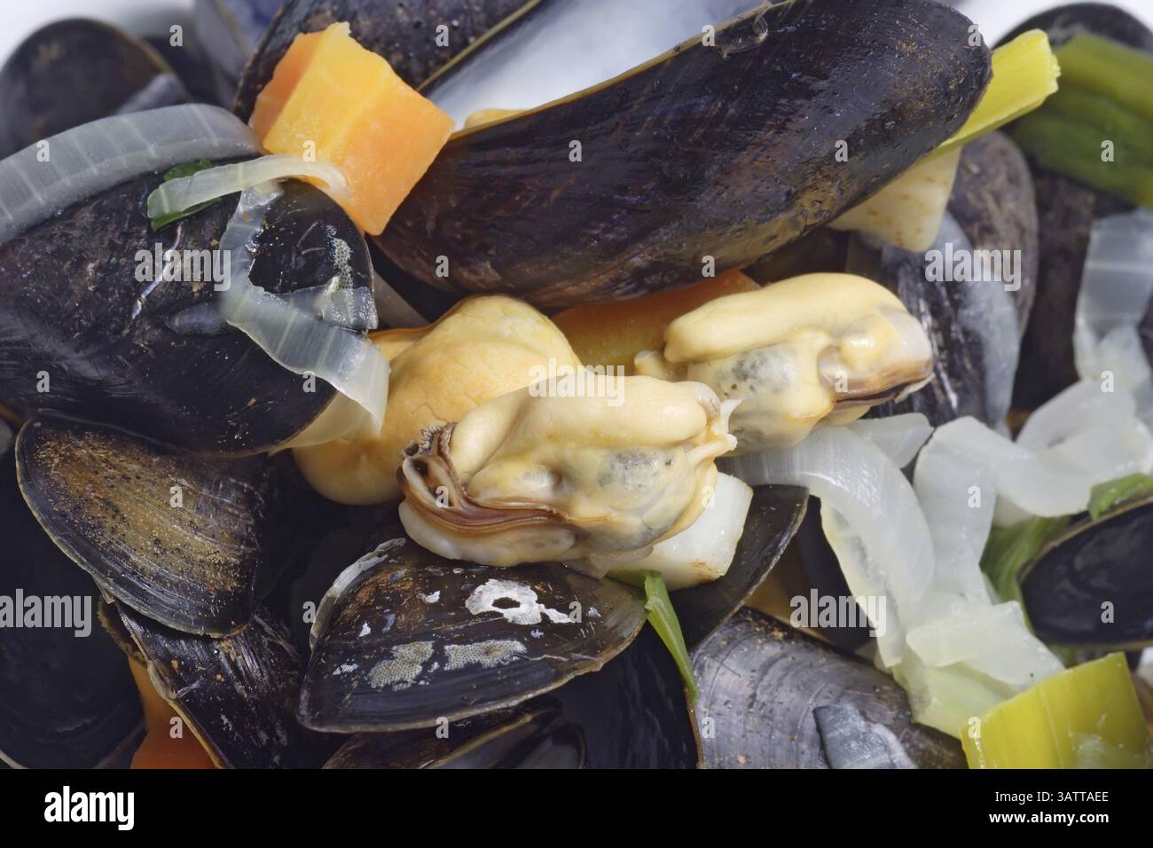 Cooked mussels in detail Closeup from delicious dinner with seafood ...