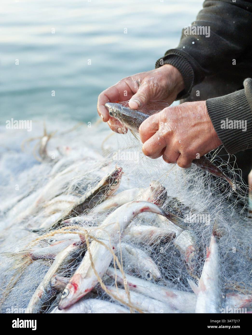 Fishers close hi-res stock photography and images - Alamy