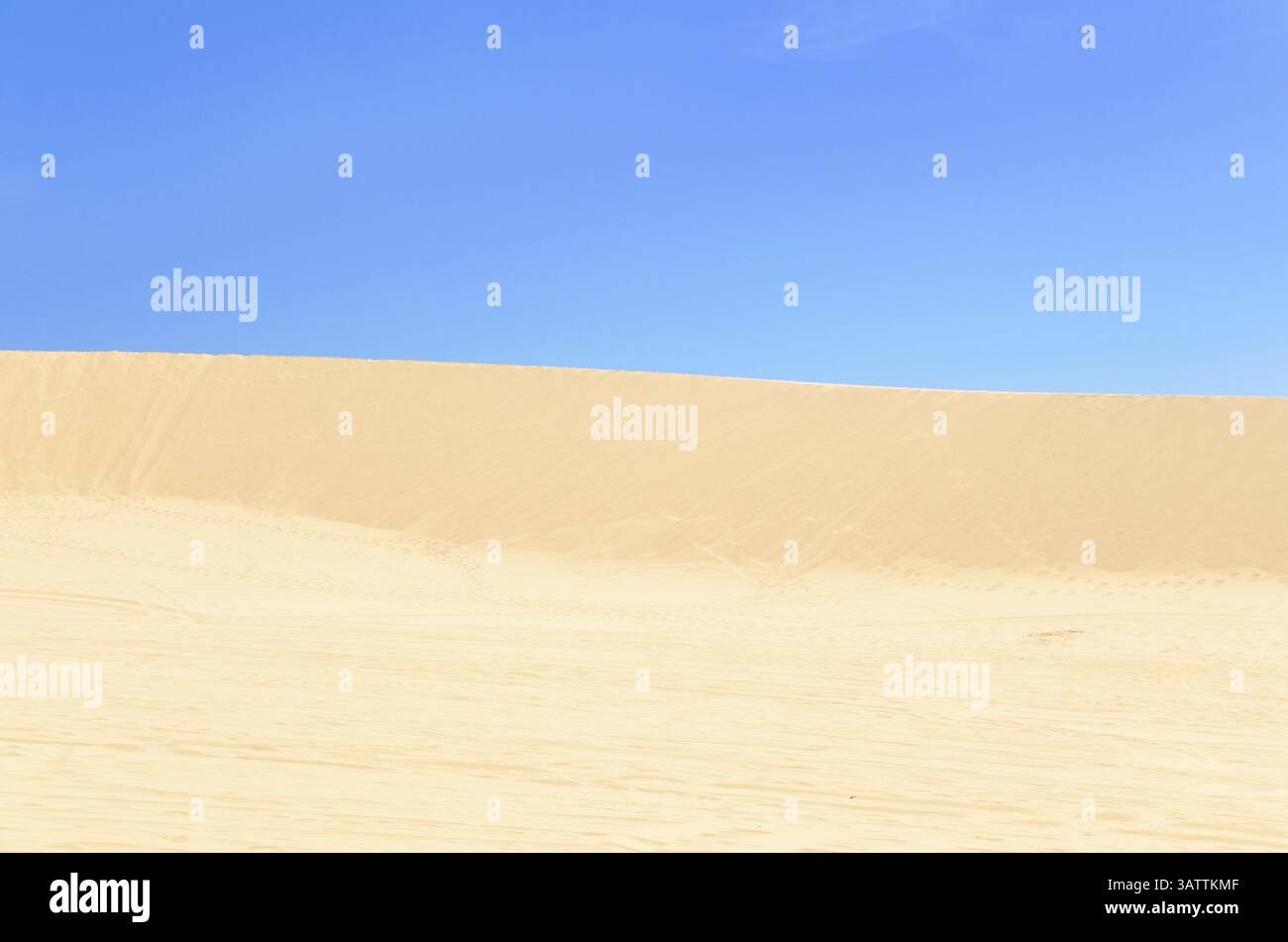 Mui Ne Flying sand dune is a famous tourist attraction in Vietnam Stock ...