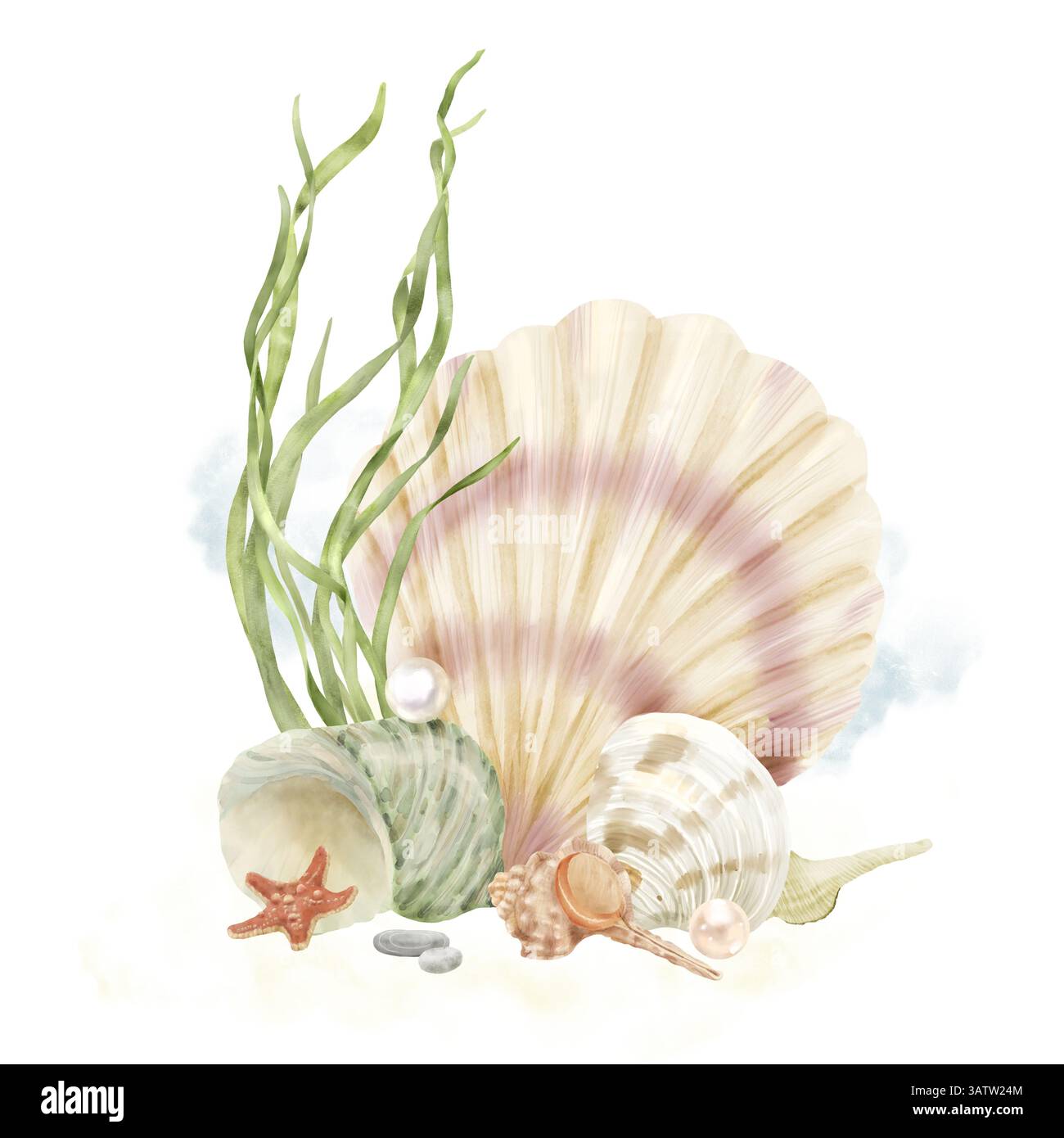 Oceanic shells from the ocean floor and a starfish next to green algae ...