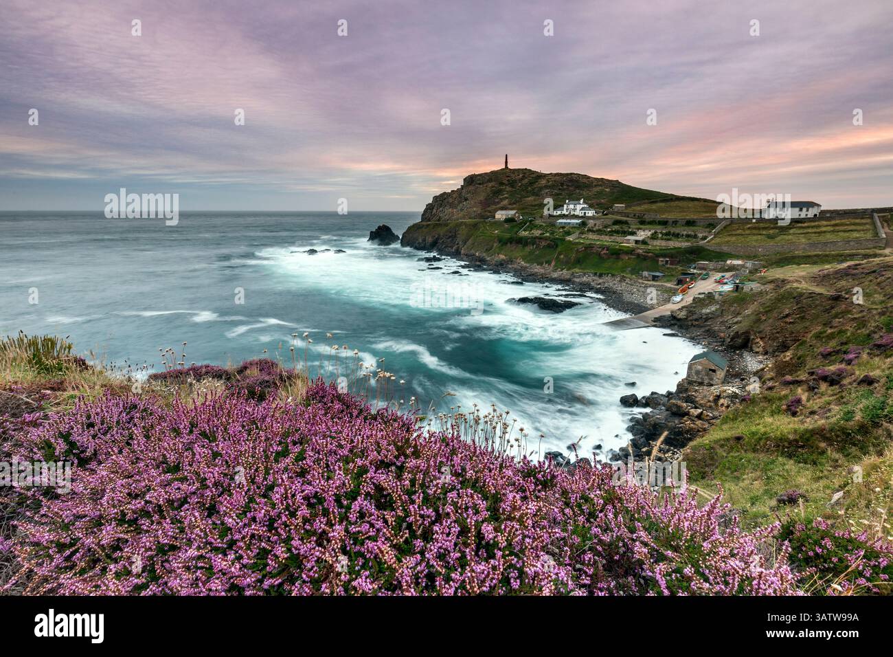 Cape heather hi-res stock photography and images - Alamy