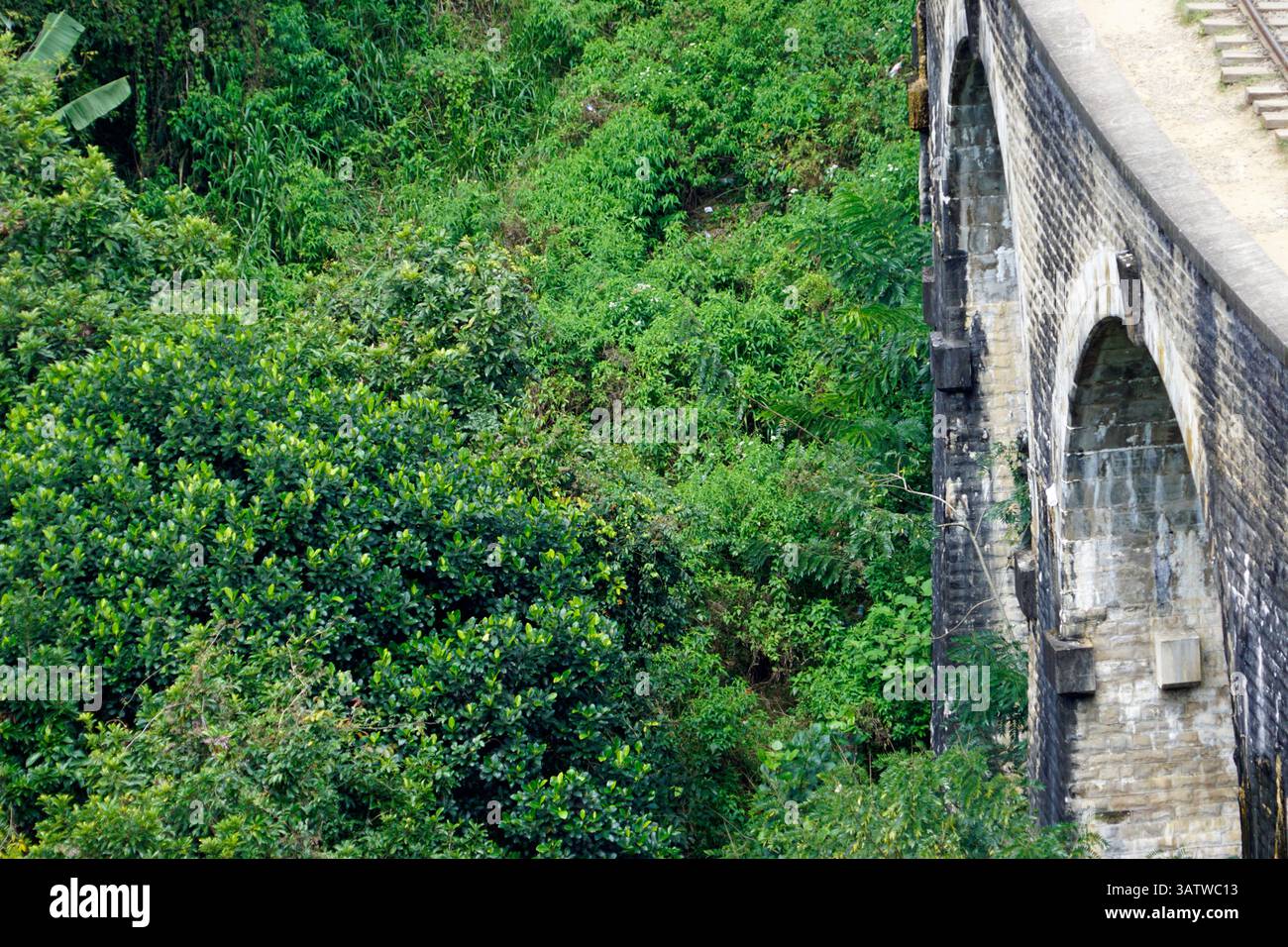 nine arches bridge near ella in sri lanka Stock Photo - Alamy