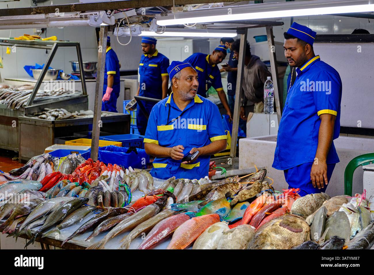 Saudi Arabia, Makkah Province, Jeddah, Central Fish Market Stock Photo ...