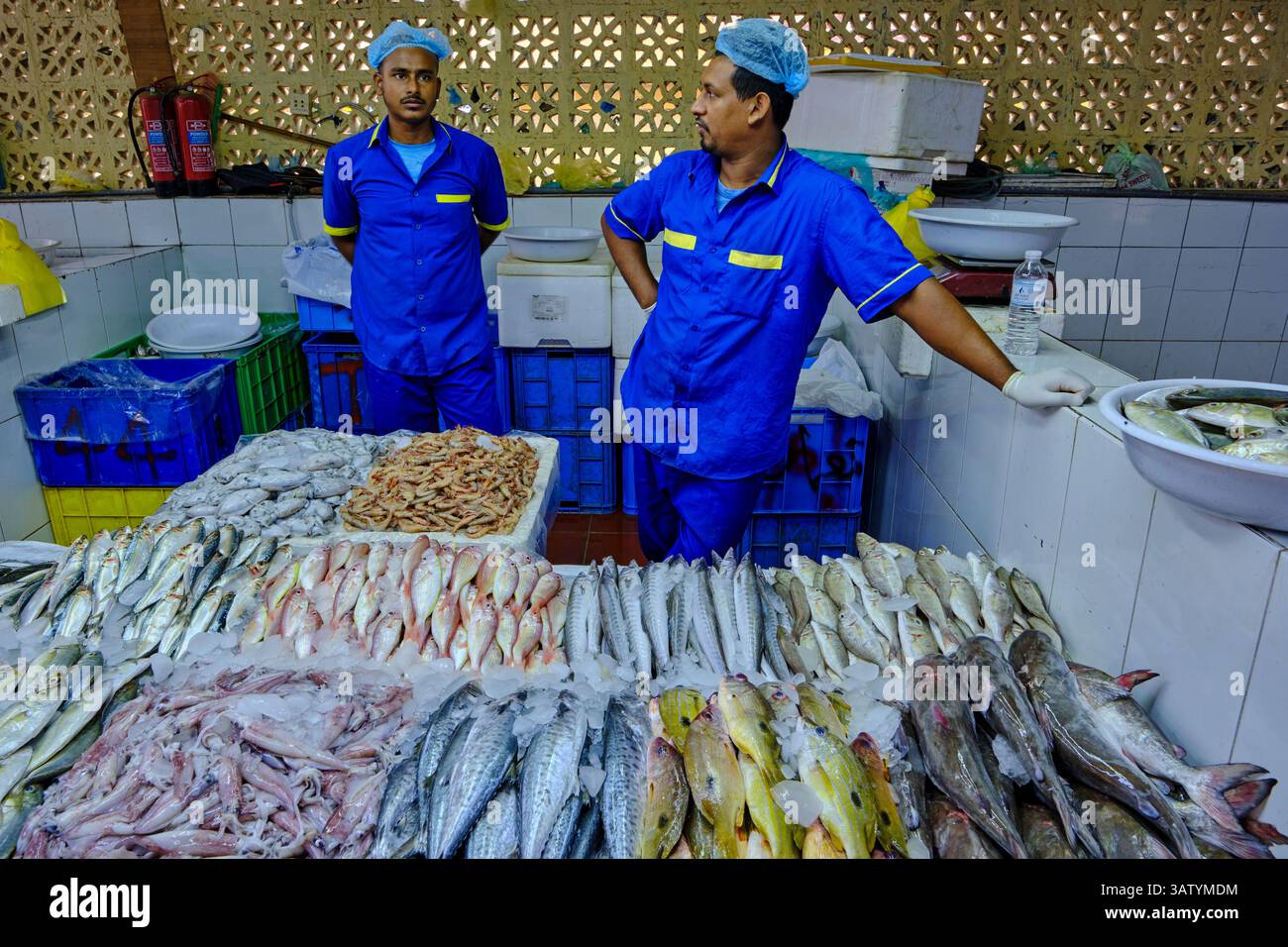 Saudi Arabia, Makkah Province, Jeddah, Central Fish Market Stock Photo ...