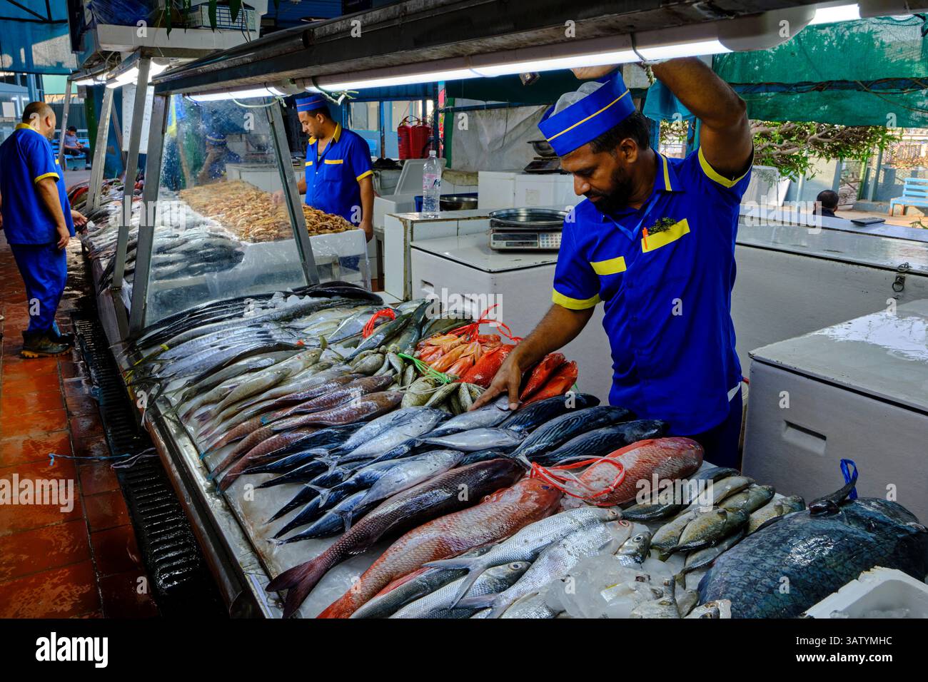 Saudi Arabia, Makkah Province, Jeddah, Central Fish Market Stock Photo ...