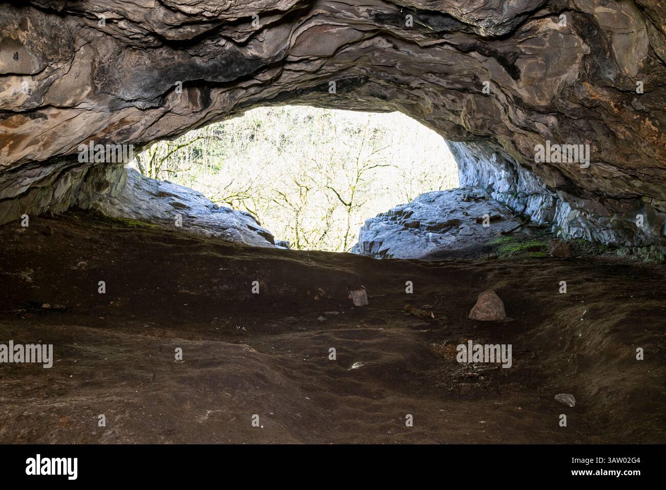 Thirst House cave in the nature reserve of Deepdale near Buxton in ...