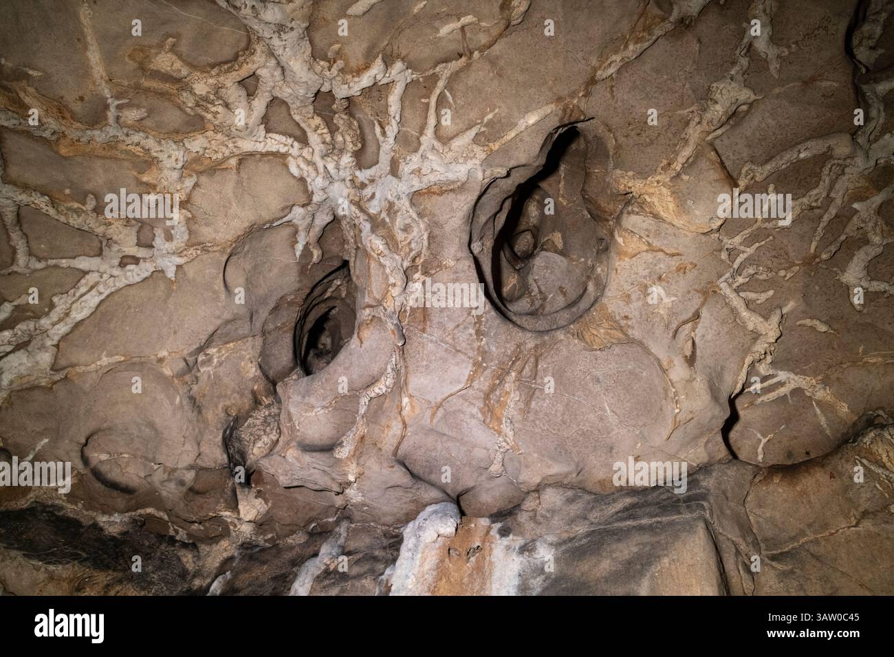 Thirst House cave in the nature reserve of Deepdale near Buxton in ...