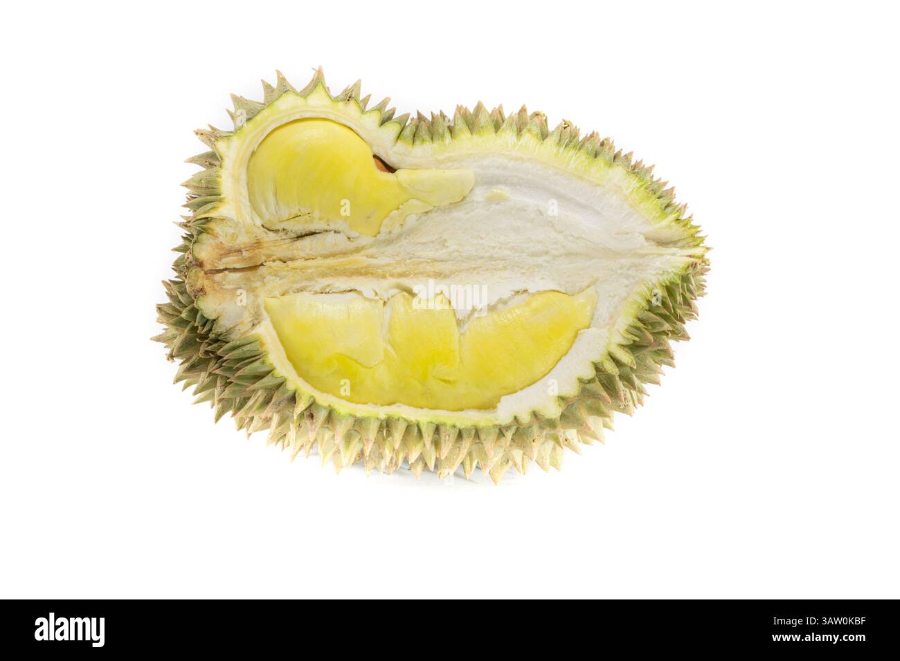 Durian king of fruit isolated on white background Stock Photo - Alamy