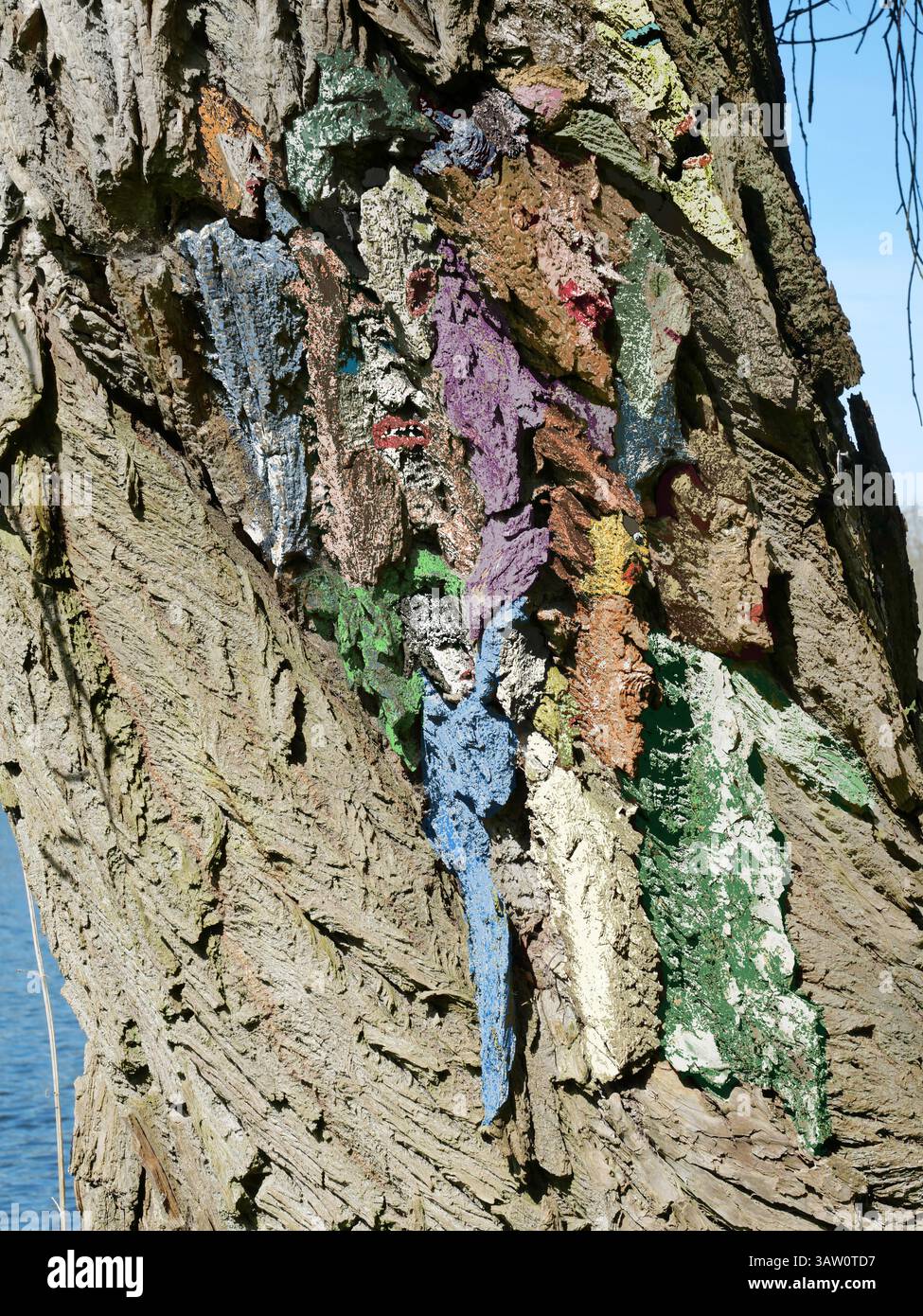 Pareidolia - Illustration. The bark structure of an old willow tree has ...